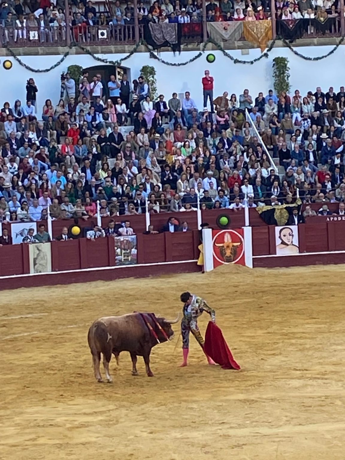 Plaza de Toros de Málaga | Web plaza la Malagueta
